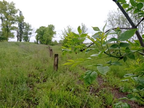 Столбики | Пикабу