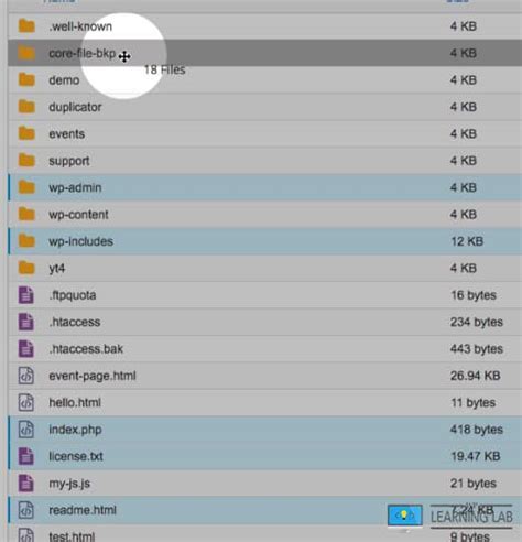 Wordpress Core Files Replacement Done Manually On A Live Site Wplearninglab