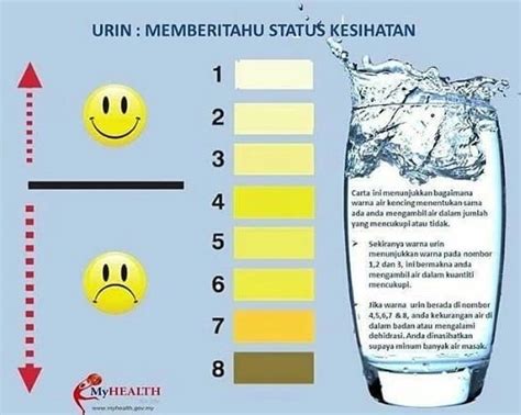 Kenali warna urin anda