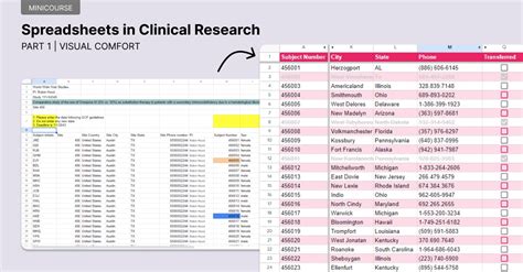 Spreadsheets In Clinical Research Part 1 Visual Comfort
