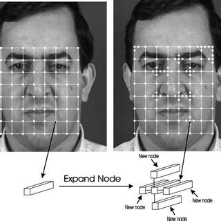 Different Types Of Facial Graphs A Rectangular Graph B Graph Download Scientific Diagram