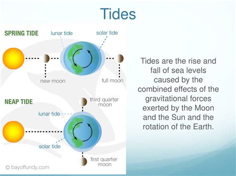 PPT Tidal Wave Power PowerPoint Presentation Free Download ID