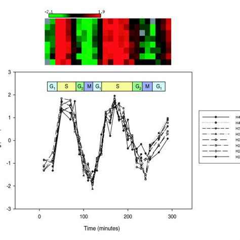Structure And Conservation Of The Histone 3 Utr Stem Loop A Schema