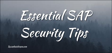 7 Essential Tips For Ensuring Sap Security In 2023 Sap Basis For You