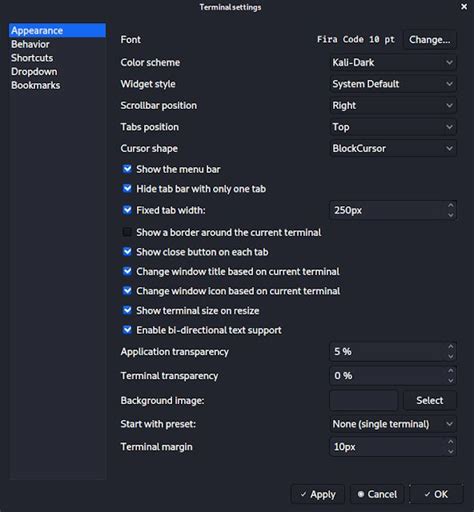Kali Linux Terminal And Shell
