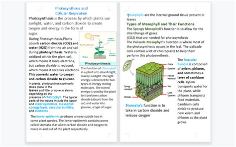 Macros For All Users Rmicrosoftword