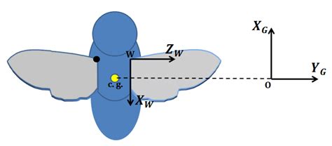 Coordinate Definitions And Kinematic Parameters Of The Flapping Wing Mav Download Scientific