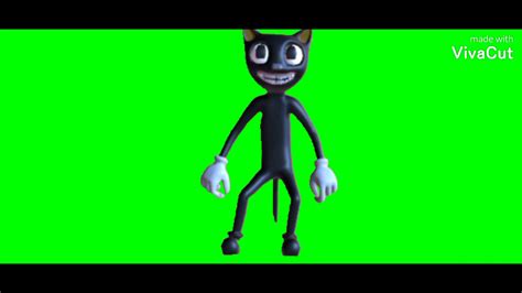 Cartoon Cat Green Screen Youtube