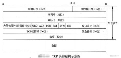 原始套接字155hlfun Csdn博客 原始套接字155hlfun Csdn博客