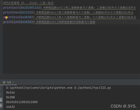Python进制与字符编码0xba Csdn博客