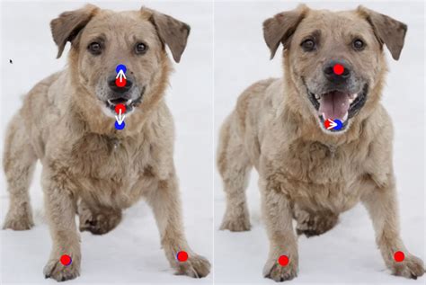 First Look At Draggan A Generative Ai Tool That Lets You Manipulate Images By Clicking And