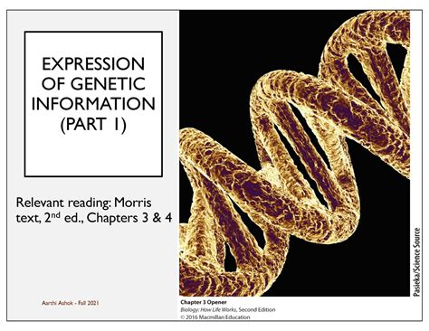 Lec 3 Module 3 Lecture Expression Of Genetic Information Part 1