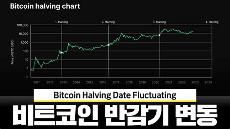 비트코인 반감기 일정 발표 리플 Youtube