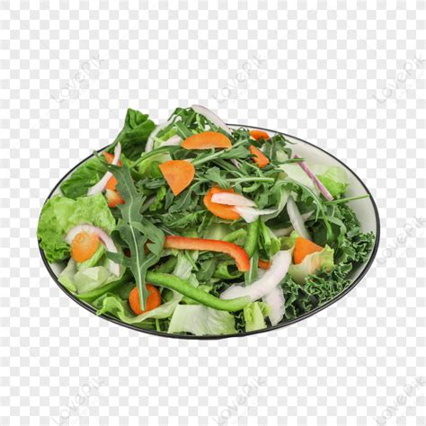 샐러드 채식 농업 식품소스맛좋은요리 Png 일러스트 무료 다운로드 Lovepik