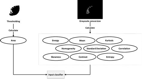 Feature Extraction From Gray Scale And Binary Image To Obtain The Download Scientific Diagram