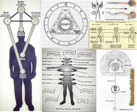 Sexual Alchemy The Lunar Influence The Term Sacred Secretion Is Commonly Used To Describe A