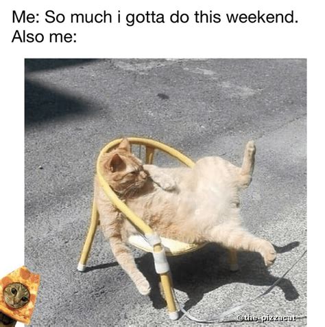 These 27 Lazy Cat Memes Are All You Need This Caturday Cute Cat Memes Cat Memes Lazy Cat