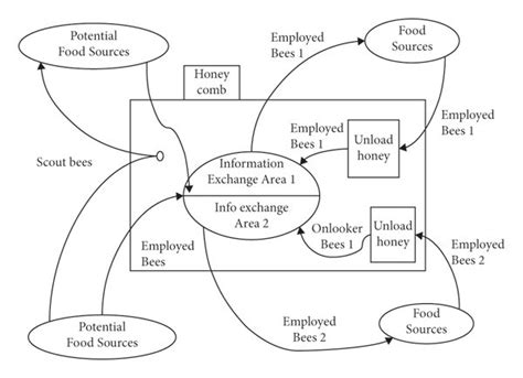Foraging Model Of Artificial Bee Colony Algorithm Download Scientific Diagram