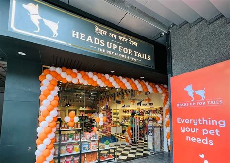 Heads Up Tails At Jack Johnson Blog