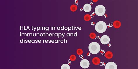 Hla Typing In Adoptive Immunotherapy And Disease Research Regmednet
