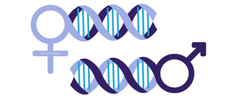 Using Sex To Identify Mislabeled Samples Labtag Blog
