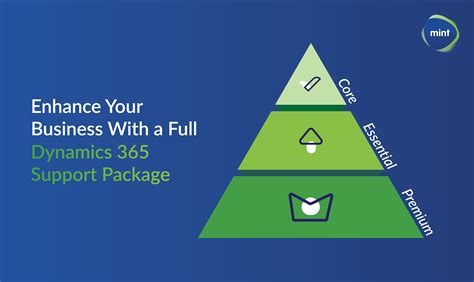 The Essentials Of A Dynamics 365 Support Framework