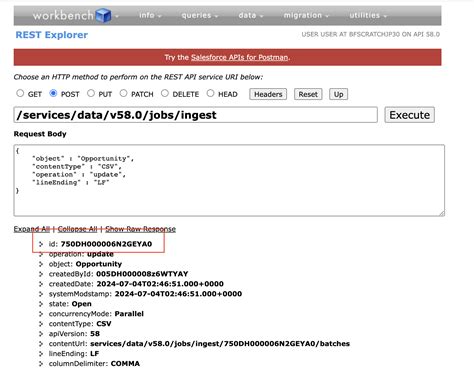 Salesforce Bulk Api 20