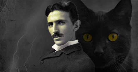 Una Chispa De Curiosidad Macak El Gato Negro Que Ayudó A Nikola Tesla A Entrar En Contacto Con