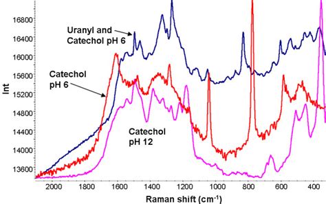 Raman Spectra Of 1 1 Catechol Molybdate At Ph6 A Six Month Old Download Scientific Diagram