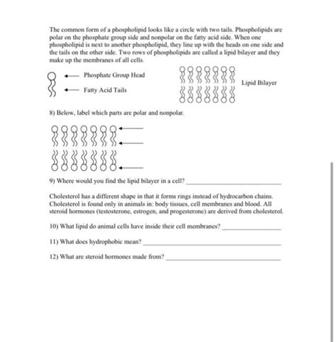 Lipids Worksheet Answers Worksheets Decoomo