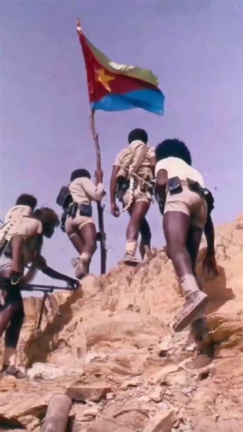 Eritrean Says On Instagram ERITREA 31th INDEPENDENCE DAY Eritreansays Eritrean