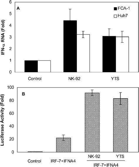 Nk Cell Conditioned Media Induce Ifn In The Hepatic Cells A Nk