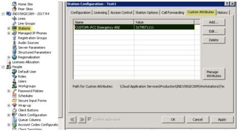 Pureconnect Cloud Resources Set A Custom Attribute For Each User Or