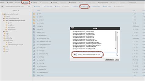 how to move a wordpress website from a subdomain launch a website