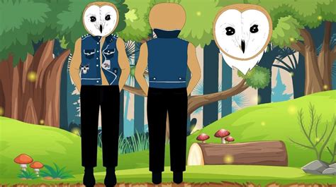 My Owl Sona Ref Sheet Rfurry