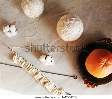 Portfolio Dimages Et De Photos De Stock De Anastasia Snegova