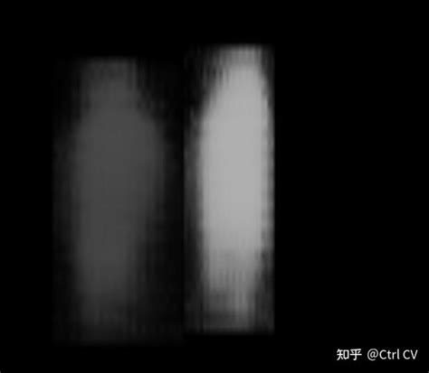 Pytorch Mask Rcnn 行人分割实战 知乎