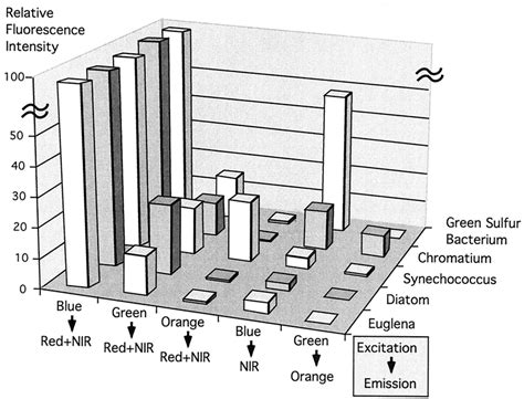Fluorescence Fingerprints Of Different Phototroph Species Download Scientific Diagram