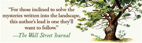 How To Read A Tree Clues And Patterns From Bark To Leaves Gooley Tristan 9781615199433