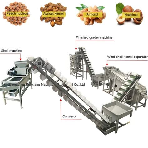 Compact Palm Kernel Cracking And Separating Machine Cashew Processing Plant And Cashew