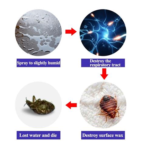 Odorless Insecticide Poison Medicine Bedbug Trap Killing Bed Bug Surot