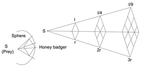 Composite Fault Diagnosis Of Rolling Bearing Based On Chaotic Honey Badger Algorithm Optimizing