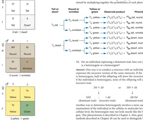 Instead Of Constructing A Large 64 Box Punnett Square We