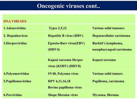 Oncogenic Virus Host Cell Interaction Ppt