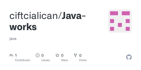 Github Ciftcialicanjava Works Java