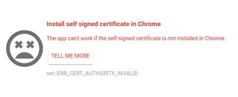 dynamic analysis with owasp zap
