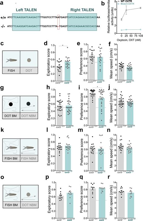 Oxytocin Signaling Is Differently Involved In The Perception Of Download Scientific Diagram