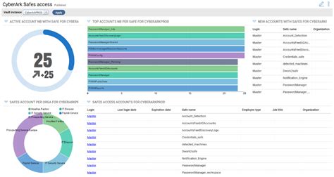 Cyberark Mashup Dashboards Controls Views And Rules Radiantone Marketplace