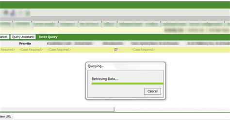 Siebel Ip17 Cancelquerytimeout Parameter Behavior Crm And Cloud