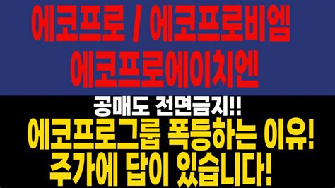 주식 에코프로 에코프로비엠 에코프로에이치엔 공매도 전면금지 에코프로그룹 폭등하는 이유 주가에 답이 있습니다 목표가는 여기까지 입니다 Youtube
